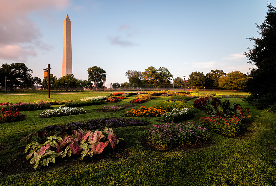 Limitations on Lobbying Activities: The Rules for 501(c)(3 ...